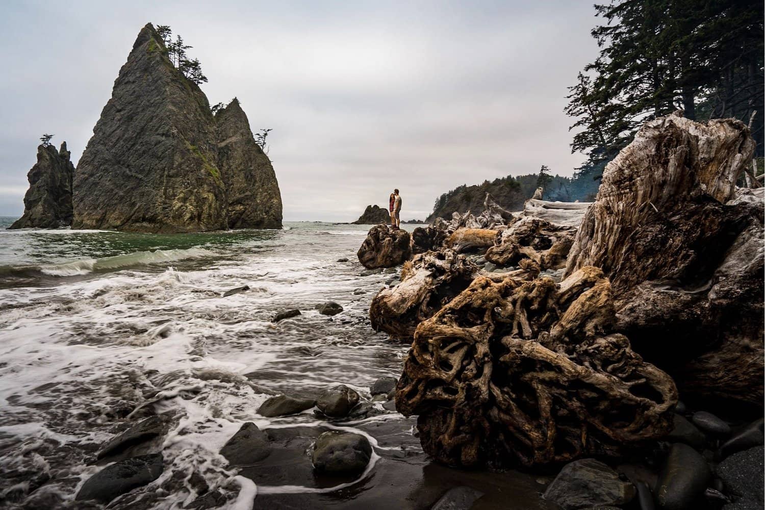 Olympic Peninsula Loop: 15 Stops along the Most Iconic Washington Road ...