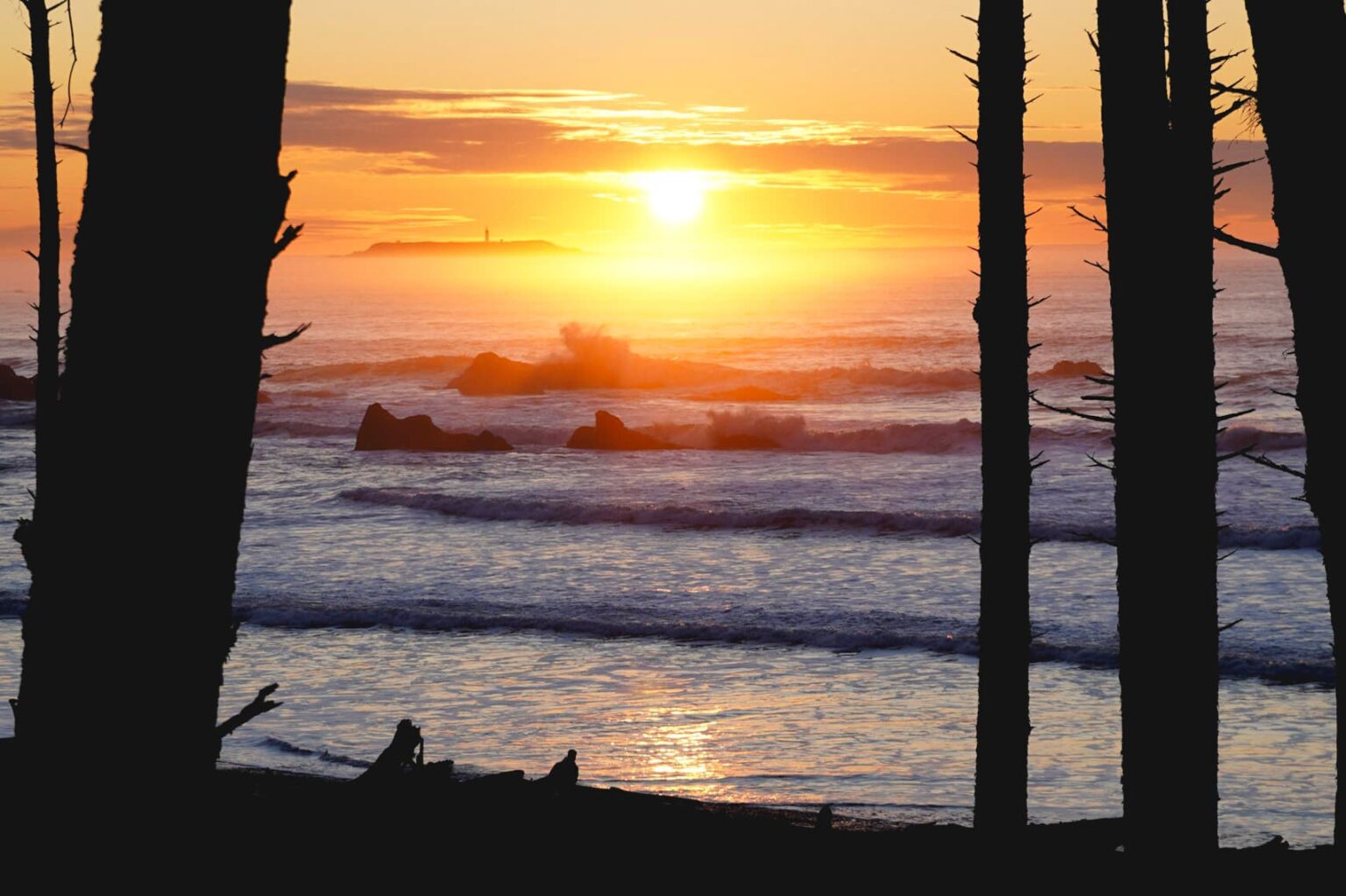 Olympic Peninsula Loop: 15 Stops along the Most Iconic Washington Road ...