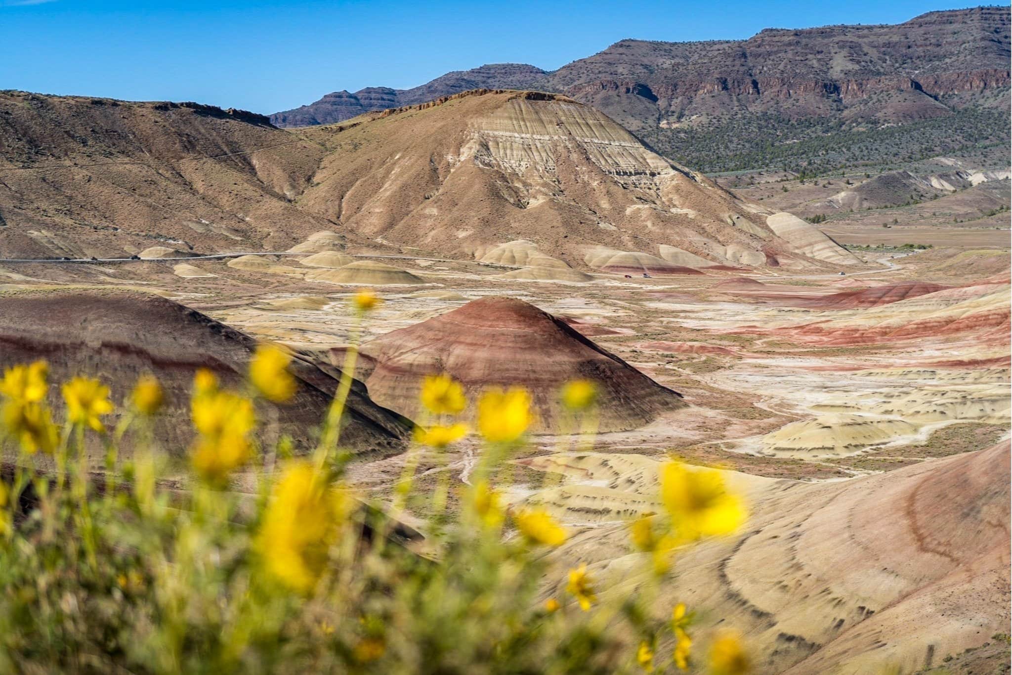 Painted Hills of Oregon: Everything You Need to Know - Uprooted Traveler