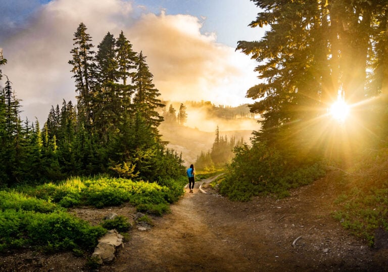 Park Butte Lookout Trail: Everything You Need to Know - Uprooted Traveler