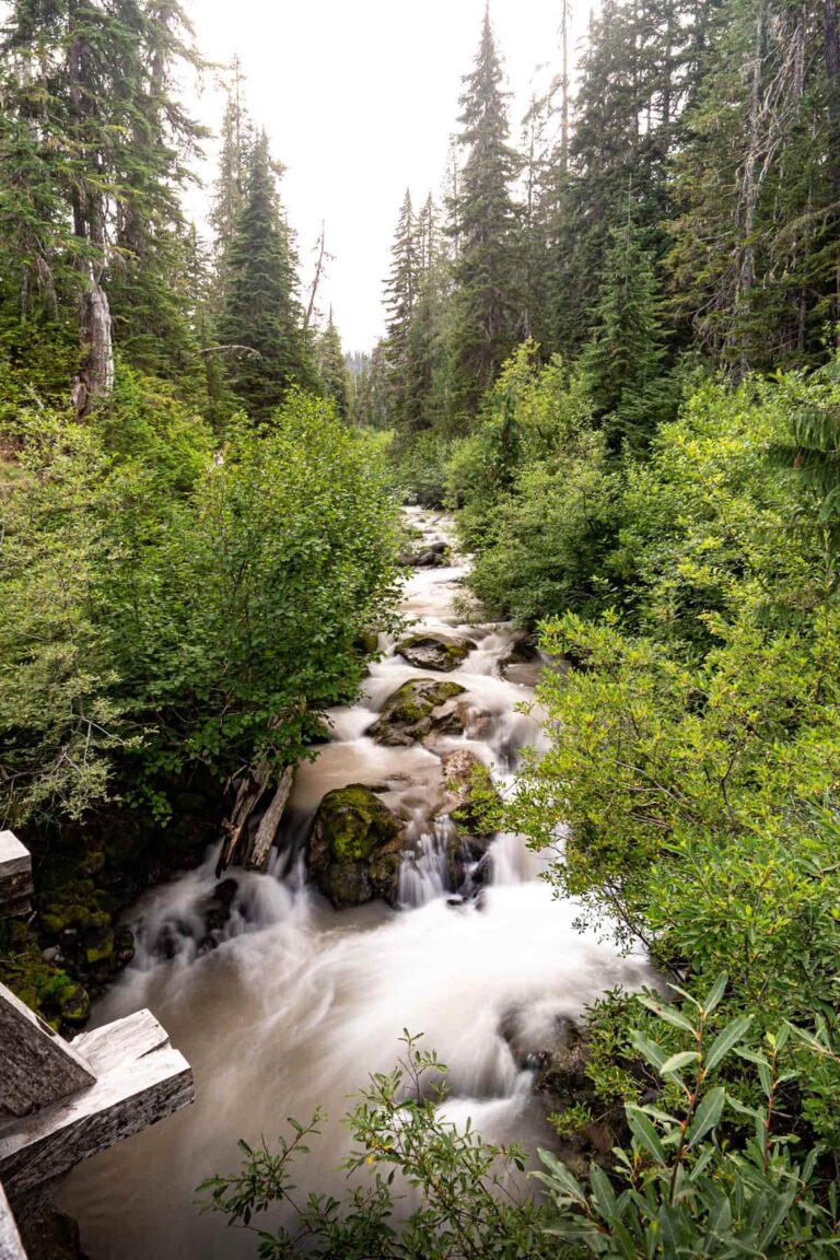 Park Butte Lookout Trail: Everything You Need to Know - Uprooted Traveler