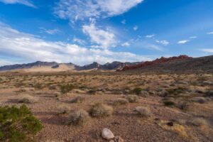 Pink Canyon: The Best Hidden Gem in Valley of Fire State Park ...