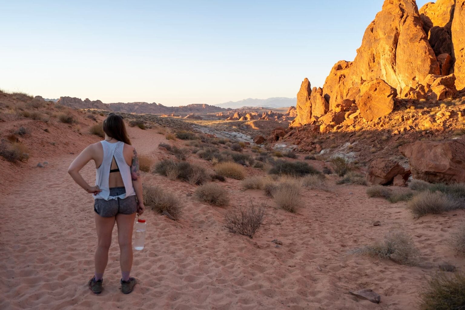 Pink Canyon: The Best Hidden Gem in Valley of Fire State Park ...