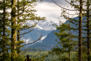 Rattlesnake Ledge Trail: One of the Best Hikes Near Seattle - Uprooted ...