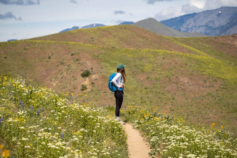 Sage Hills Loop: The Best Wildflower Hike in Washington - Uprooted Traveler
