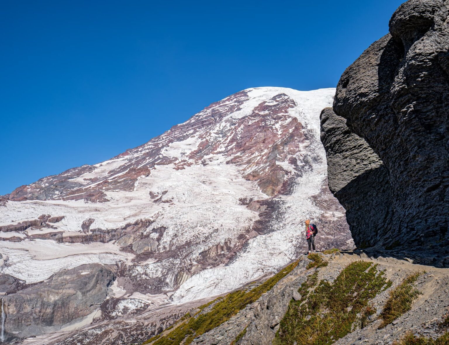 Skyline Trail: Mt. Rainier’s Wildflower-filled Paradise with Views for ...