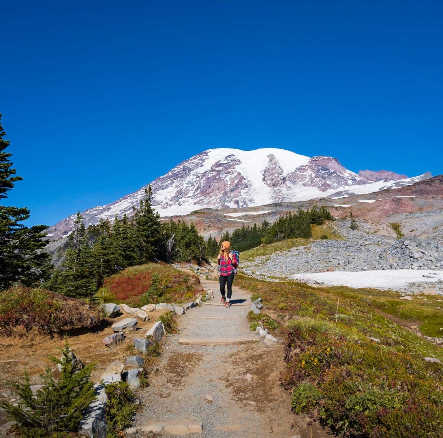 Skyline Trail: Mt. Rainier’s Wildflower-filled Paradise with Views for ...