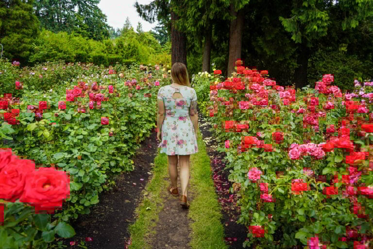 14 Incredible Things to Do During Spring in Oregon - Uprooted Traveler
