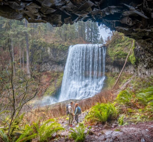 14 Incredible Things to Do During Spring in Oregon - Uprooted Traveler