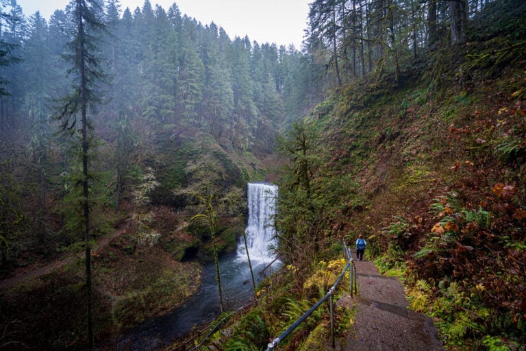 14 Incredible Things to Do During Spring in Oregon - Uprooted Traveler
