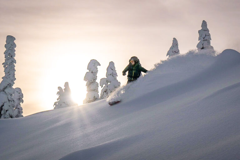 13 Awesome Things to Do During Spring in Washington State - Uprooted ...