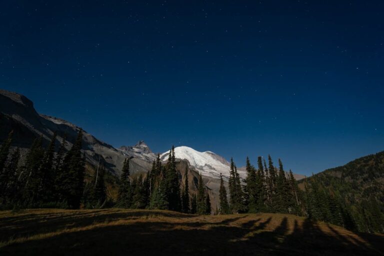 Summerland Trail: Mount Rainier's Most Underrated Hike - Uprooted Traveler