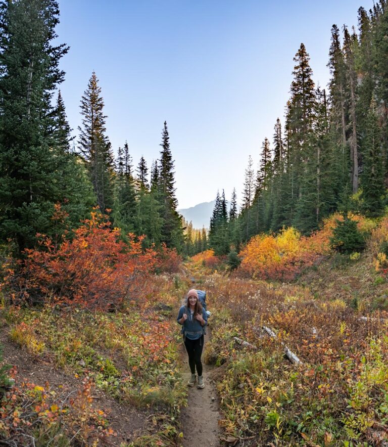 Summerland Trail: Mount Rainier's Most Underrated Hike - Uprooted Traveler