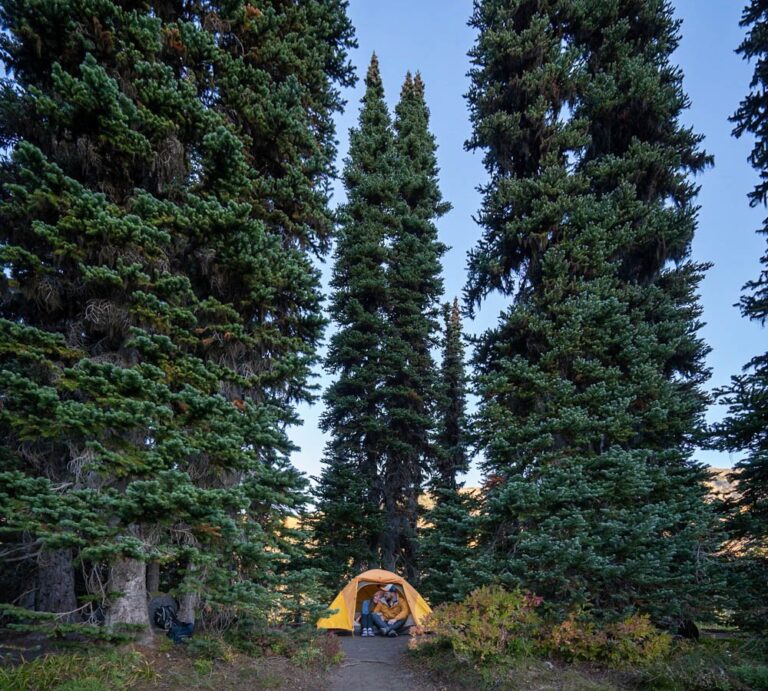 Summerland Trail: Mount Rainier's Most Underrated Hike - Uprooted Traveler
