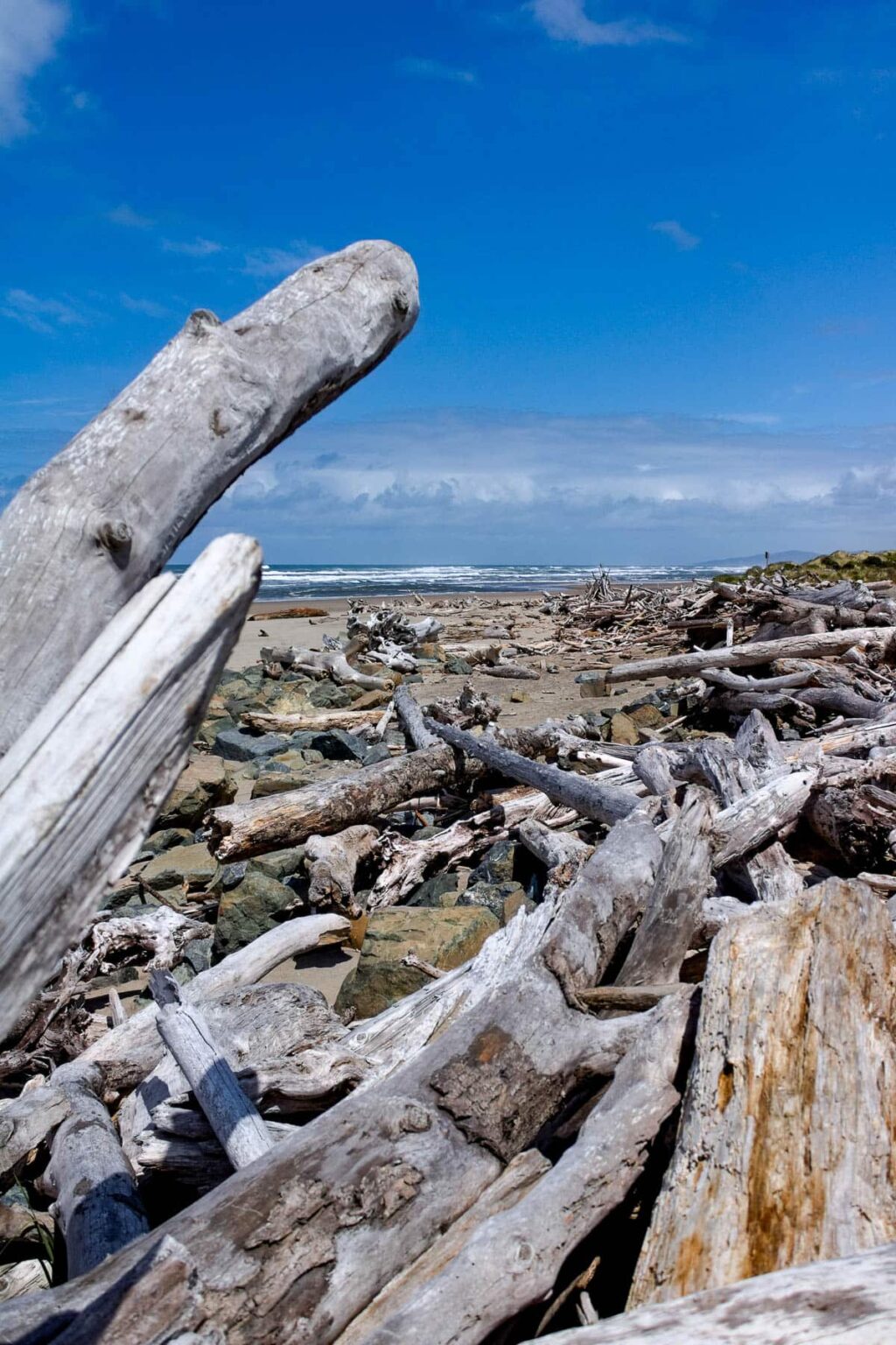 11 Amazing Things to Do in Bandon, Oregon - Uprooted Traveler