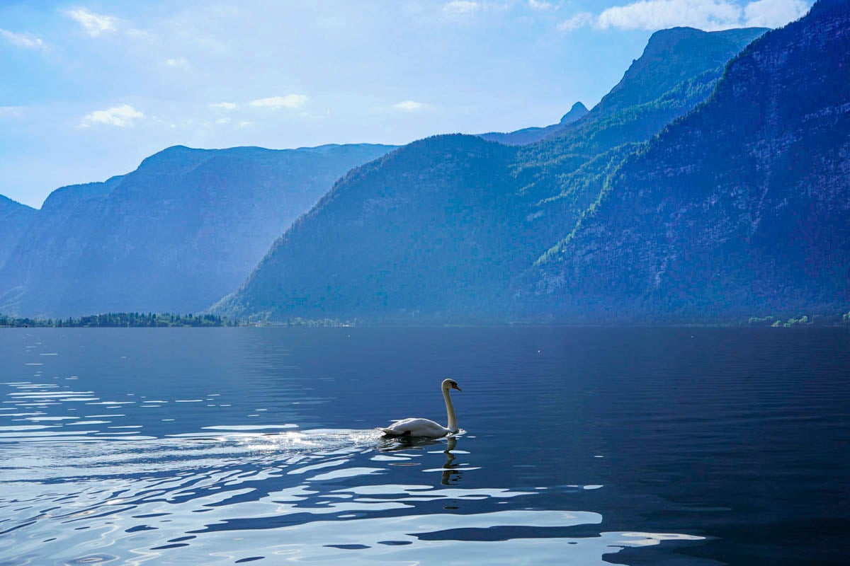 8 Incredible Things to Do in Hallstatt, Austria's Village Straight Out ...