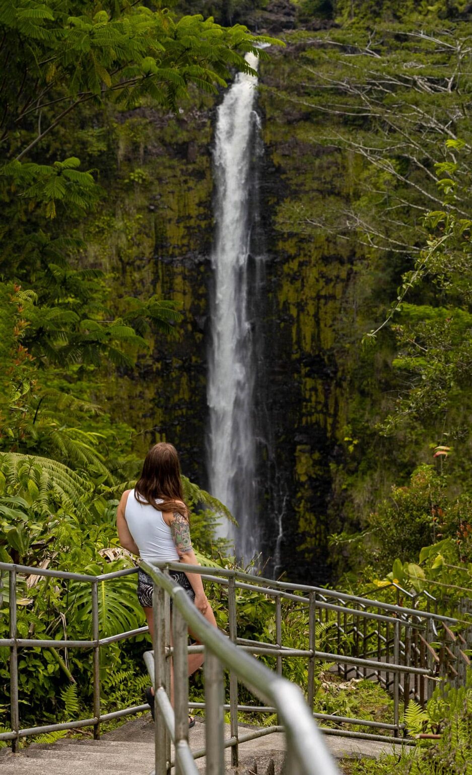 16 Awesome Things to do in Hilo on the Big Island of Hawaii - Uprooted ...