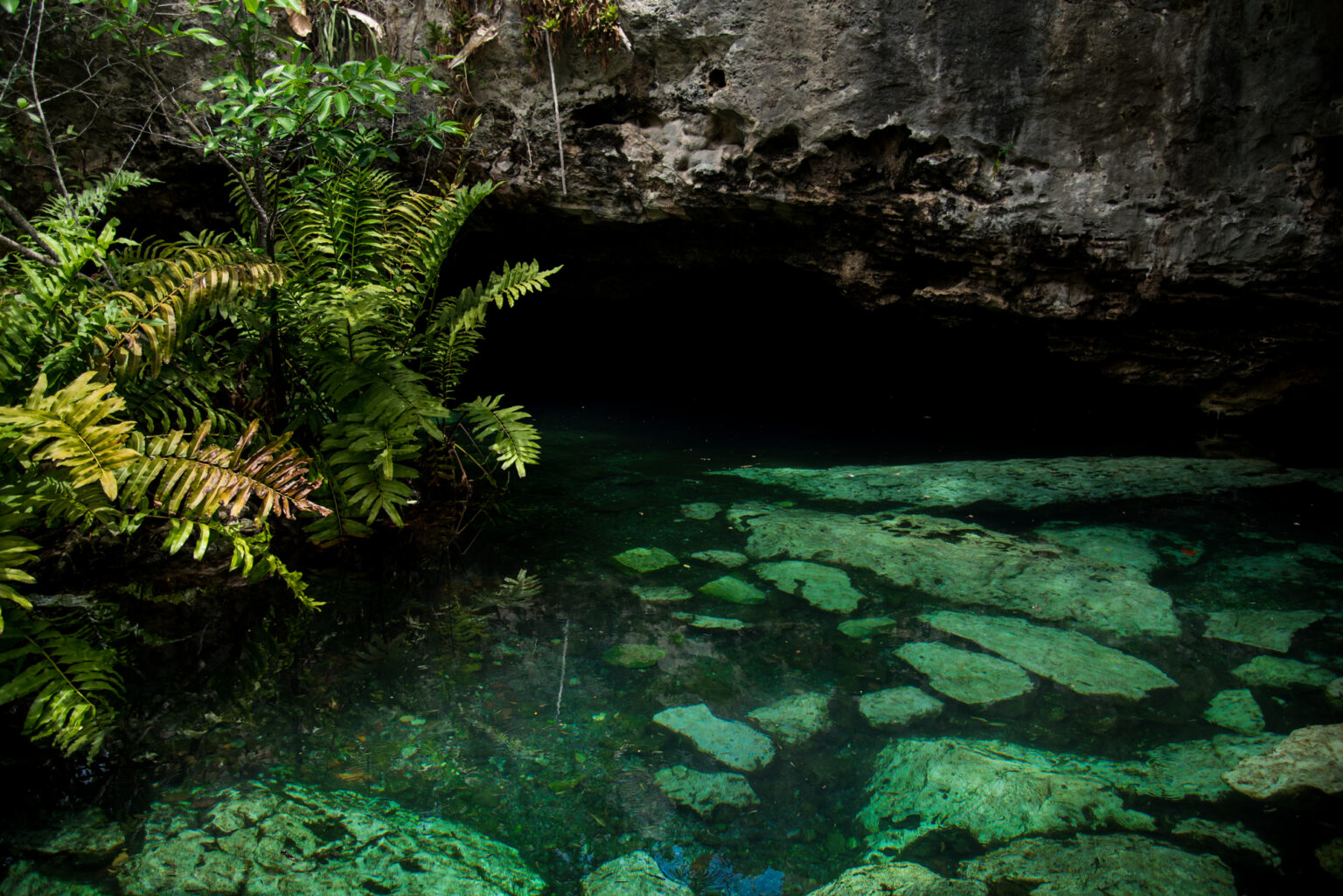 7 Awesome Tulum Cenote Tours to Enjoy While You're in the Yucatan ...