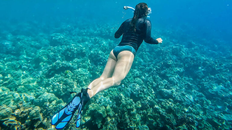5 Awesome Tours to Turtle Canyon in Oahu - Uprooted Traveler