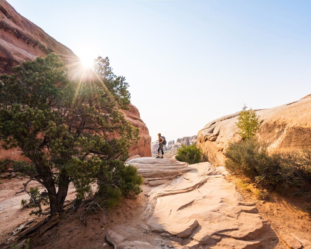 Road Trip to Utah National Parks: A Complete Guide to the Mighty 5 ...
