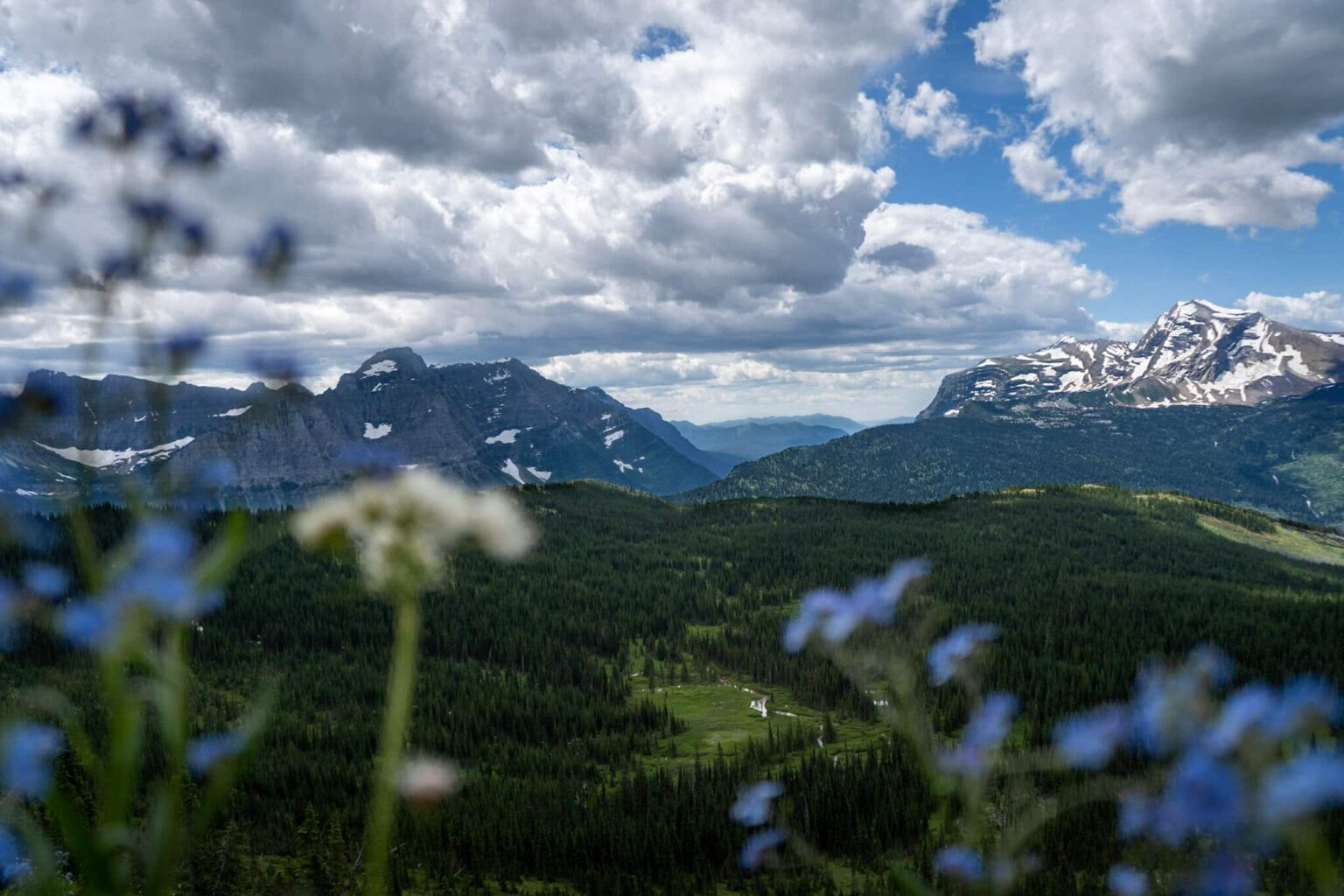 10 Tips for Driving the Going-to-the-Sun Road in Glacier National Park ...