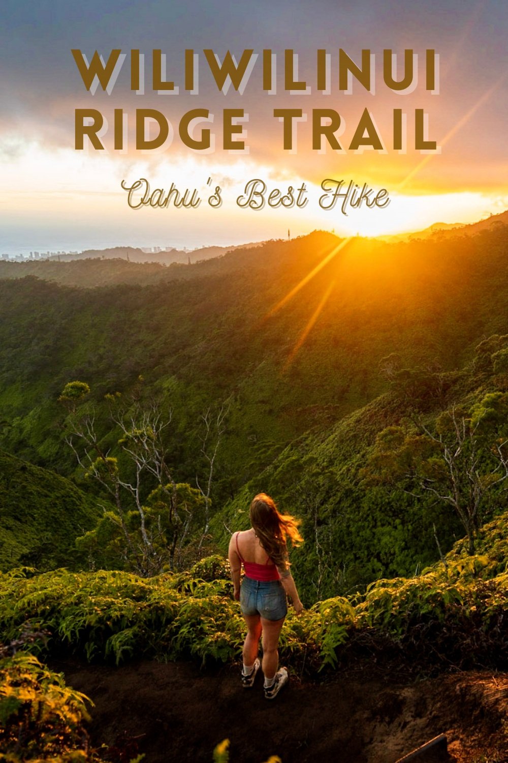 Wiliwilinui Ridge Trail: Oahu's Best Hike - Uprooted Traveler