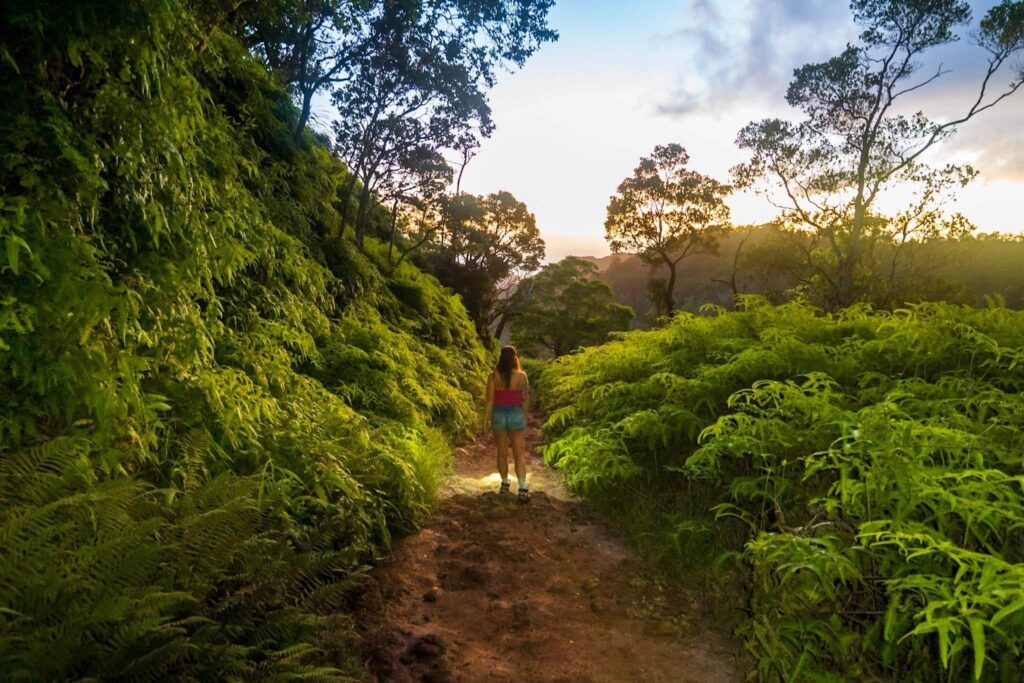 Wiliwilinui Ridge Trail: Oahu's Best Hike - Uprooted Traveler