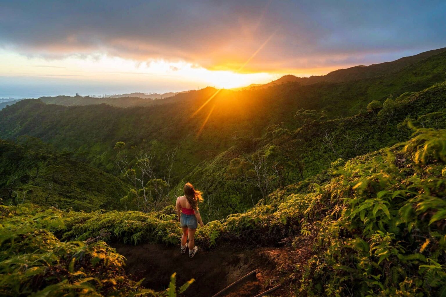 Wiliwilinui Ridge Trail: Oahu's Best Hike - Uprooted Traveler