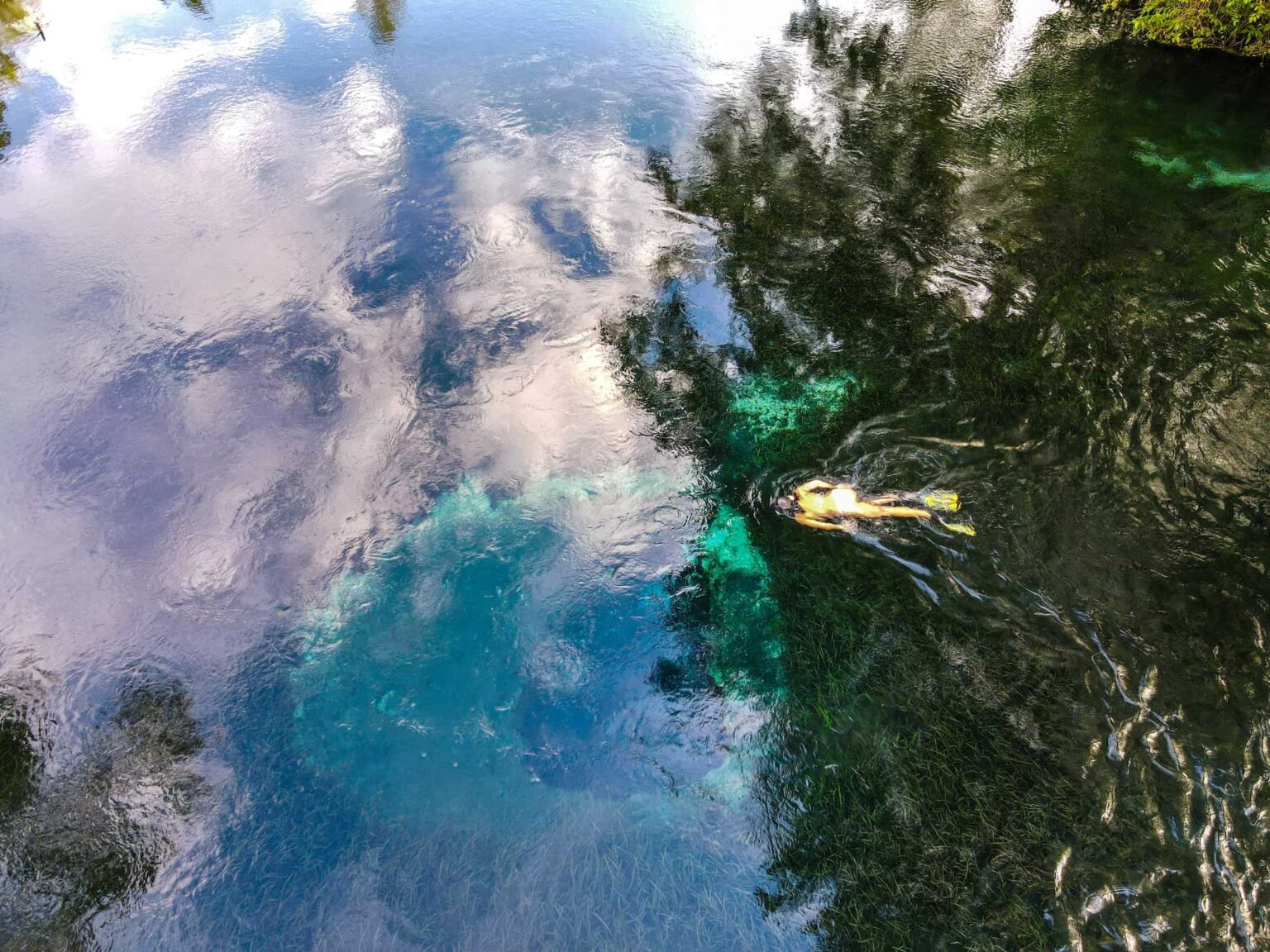 14 Unmissable Destinations to Enjoy Winter in Florida and Escape the ...
