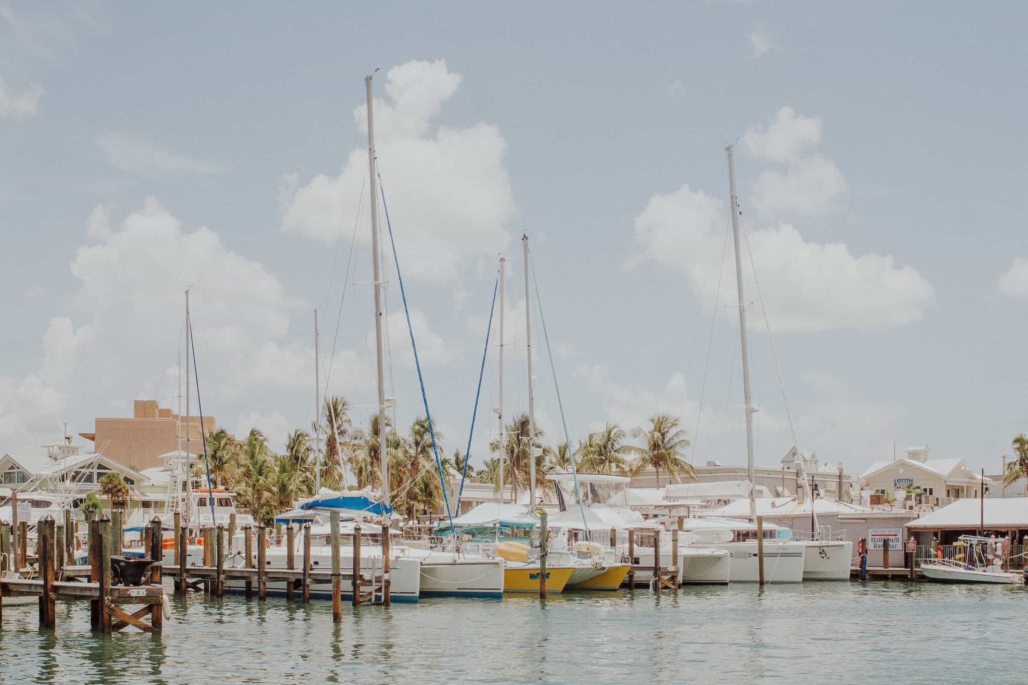14 Unmissable Destinations to Enjoy Winter in Florida and Escape the ...