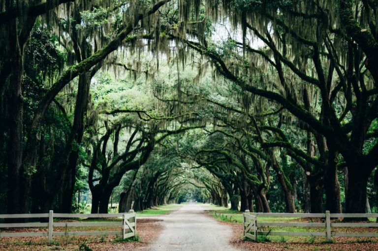 Winter in Georgia: 10 Incredible Places to Add to Your Bucket List ...