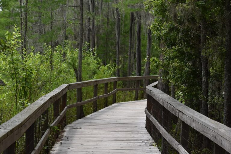 Winter in Georgia: 10 Incredible Places to Add to Your Bucket List ...