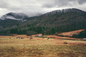 Winter in Georgia: 10 Incredible Places to Add to Your Bucket List ...