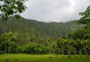 Winter in Hawaii: Everything You Need to Know - Uprooted Traveler