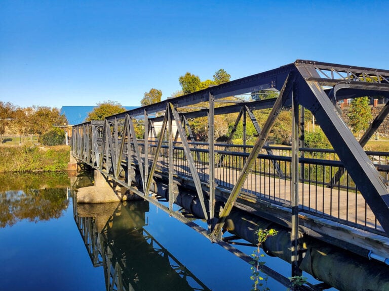 Winter in South Carolina: 10 Incredible Destinations in the Palmetto ...