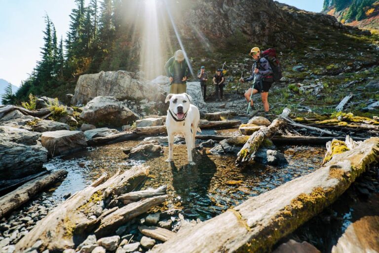 Yellow Aster Butte: One of the Most Jawdropping Hikes in the North ...