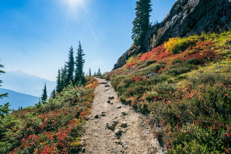 Yellow Aster Butte: One of the Most Jawdropping Hikes in the North ...